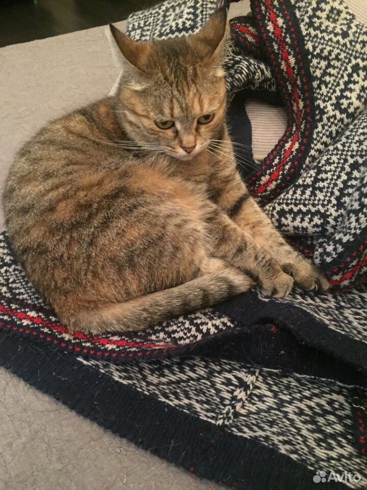 Отдам в хорошие руки