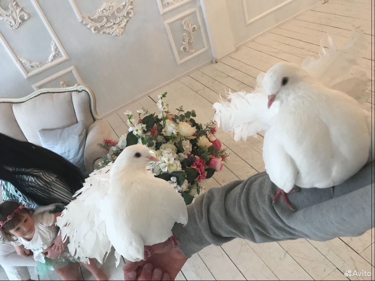 Свадебные голуби