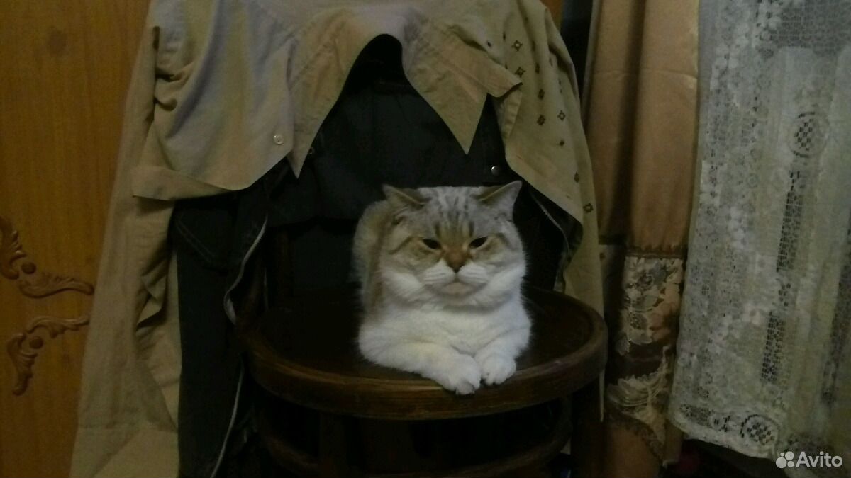 Вязка