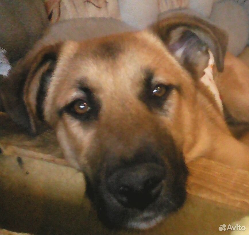 Буч - крутой парень