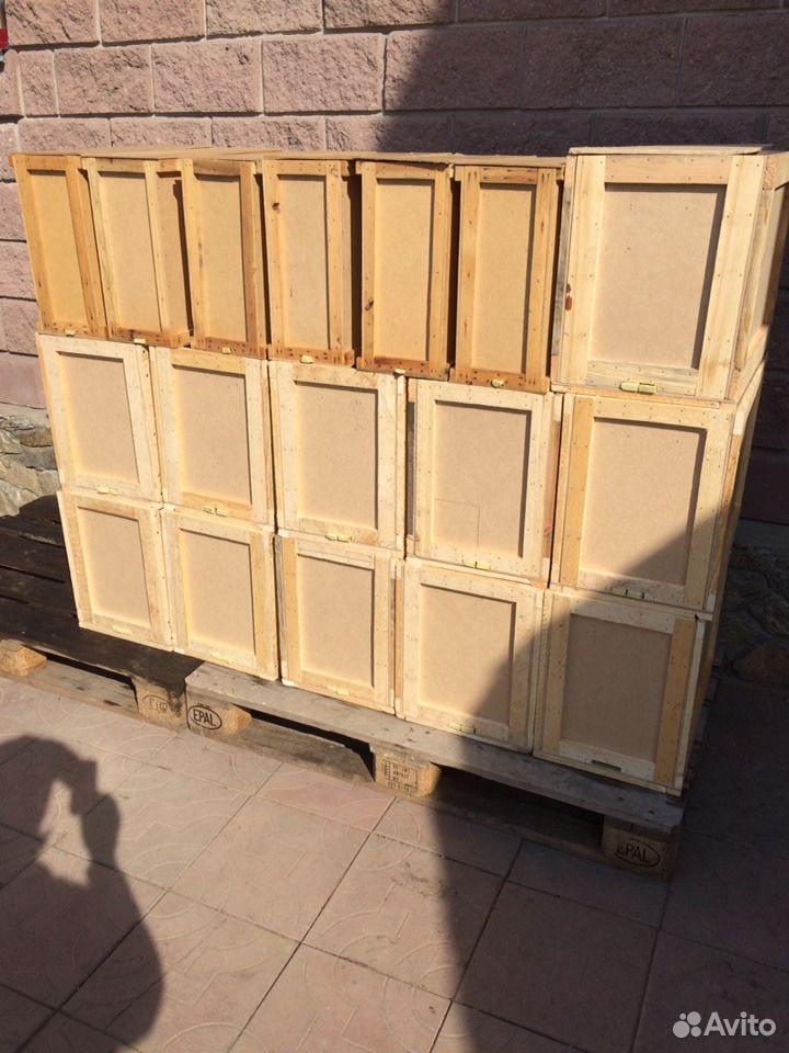 Пчела Карпатка питомник г.Кисловодск