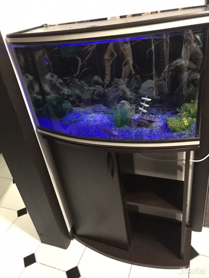 Аквариум 85 л с оборудованием и рыбками +тумба