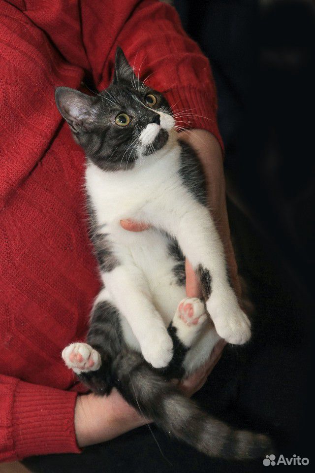 Кукляша 6.5 мес