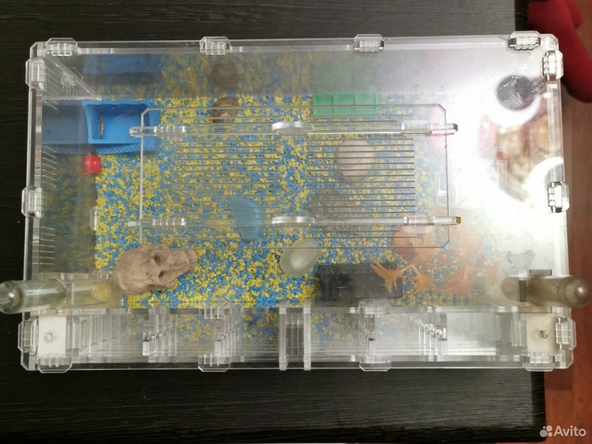 Старая муравьиная ферма (разбирается)