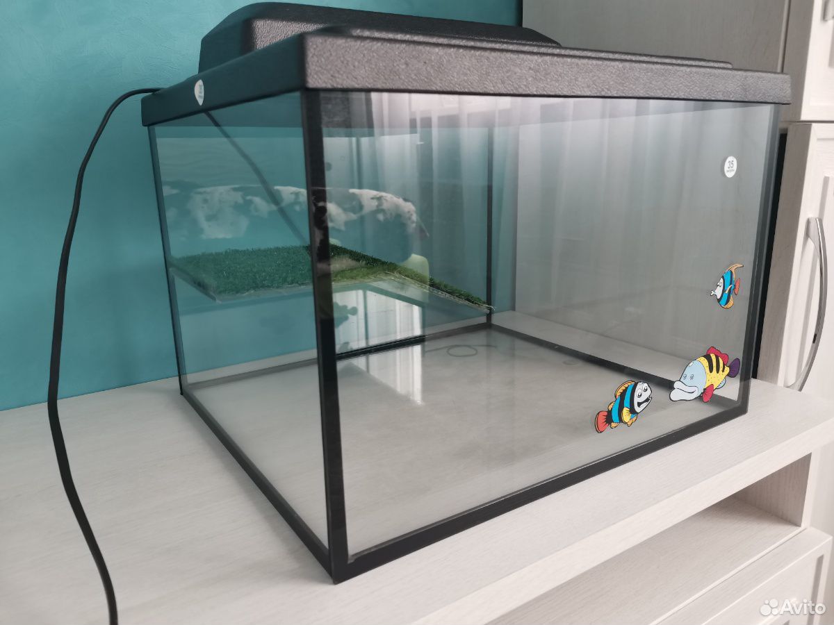 Черепашник