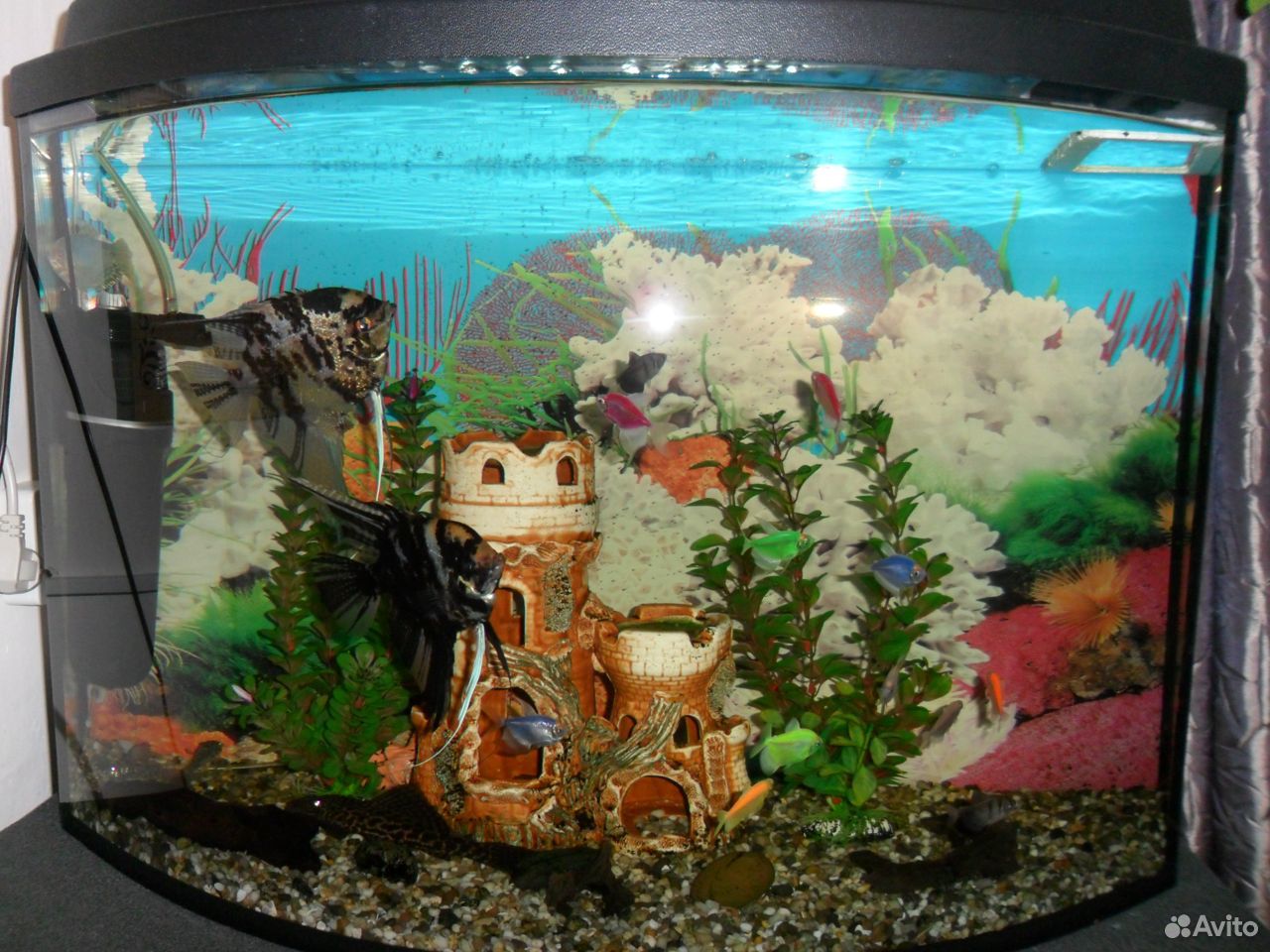 Аквариум 110л