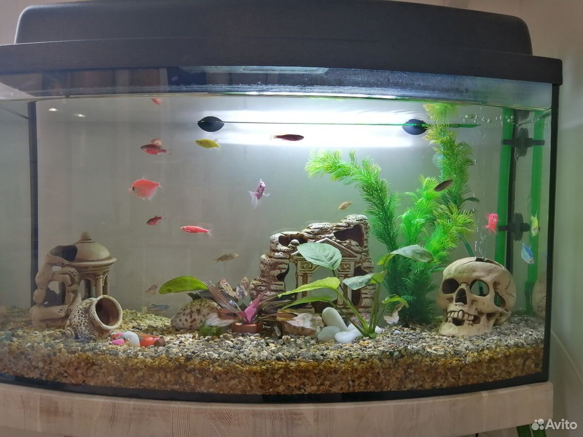 Всё для аквариума