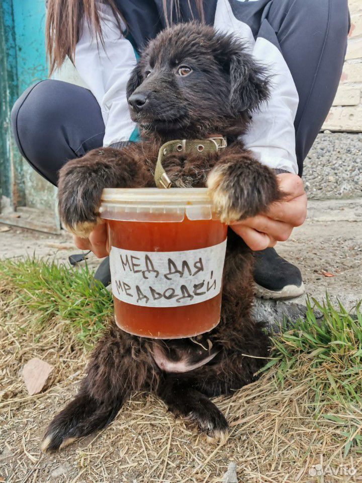 Мишель девочка