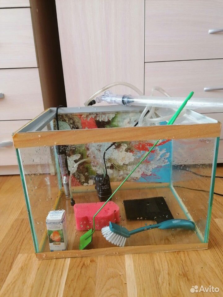 Аквариум