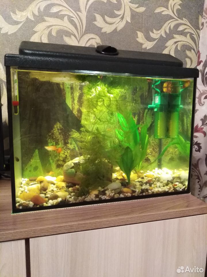 Аквариум