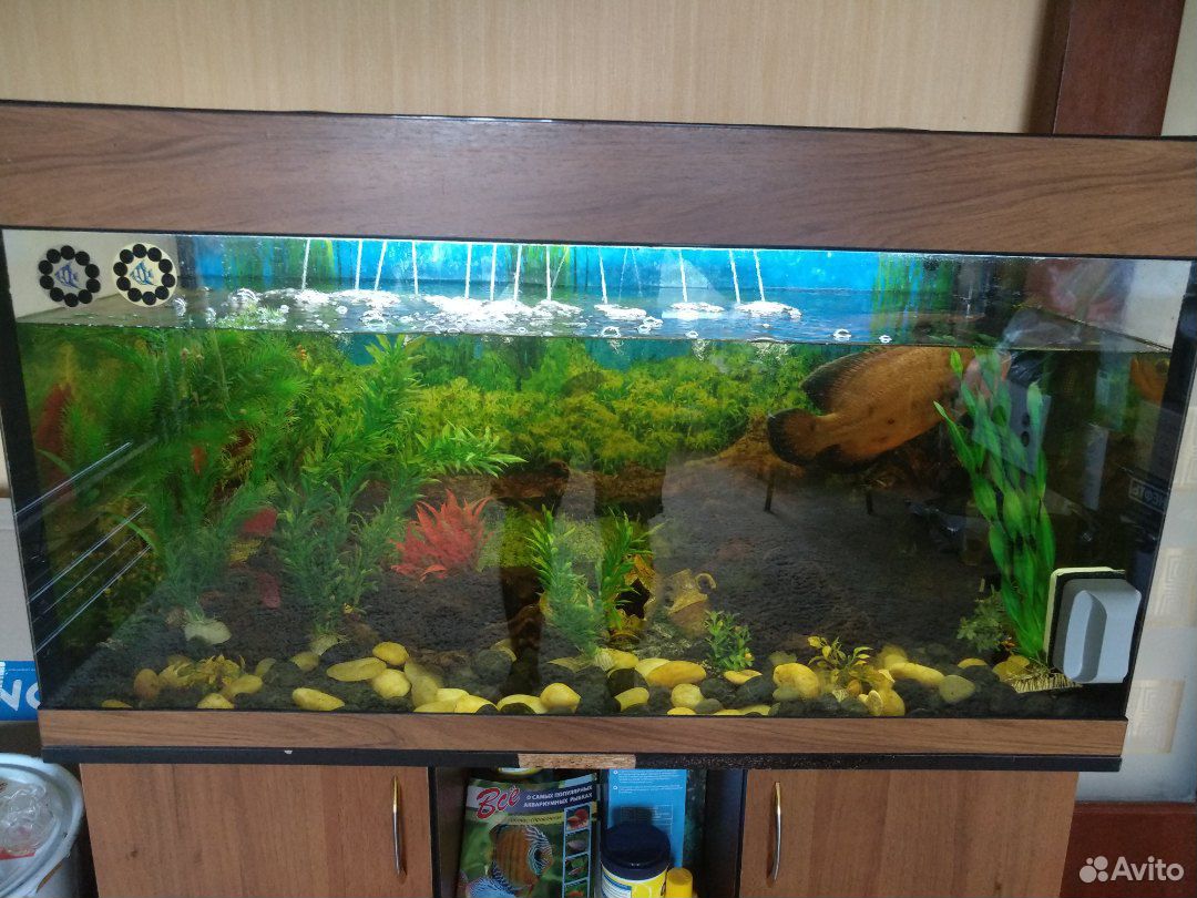 Аквариум 240 литров