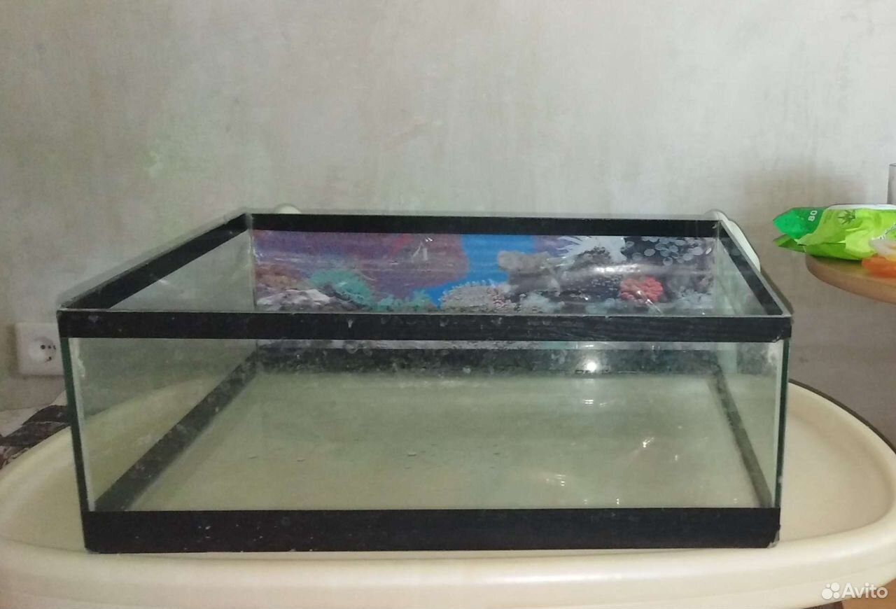 Аквариум