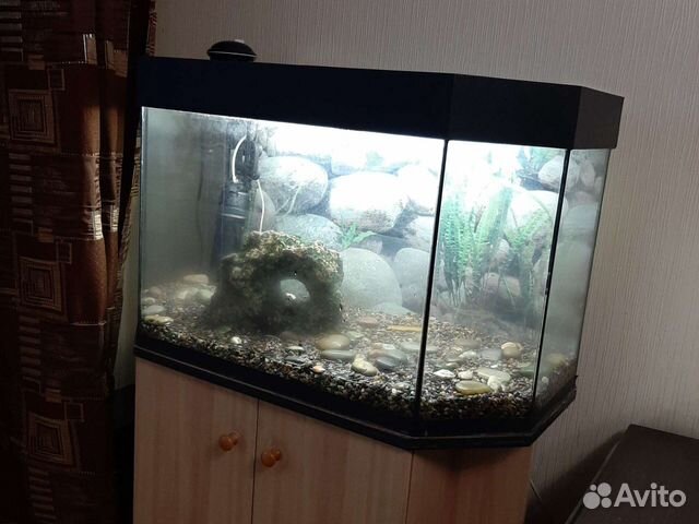 Аквариум 135 л