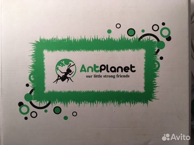 Муравьиная ферма AntPlanet
