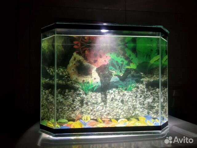 Аквариум