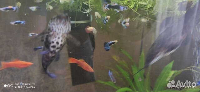 Все для рыбалки бу