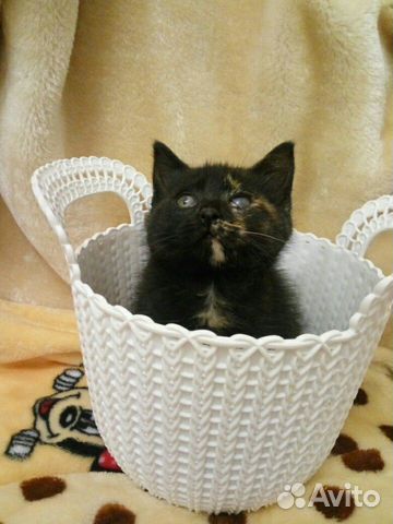 Чудо девочка ищет свою маму