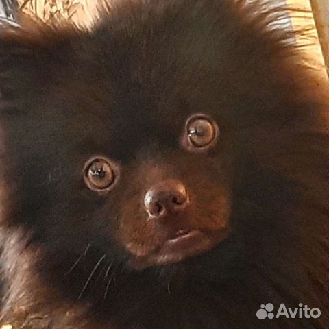 Вязка