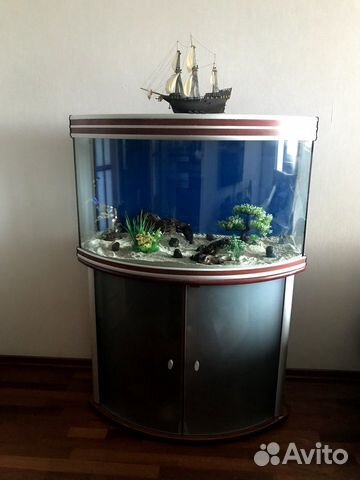 Морской аквариум