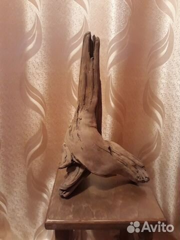 Коряжкадля аквариума, террариума, флорариума