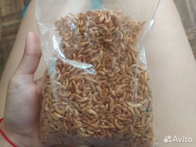 Корм для черепах