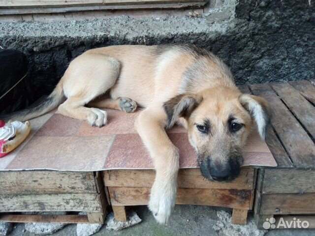 Успеть найти Таше любящую семью