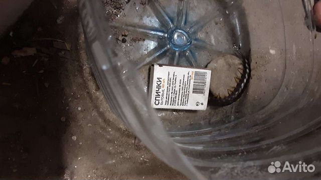 Сколопендру