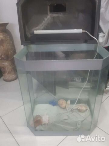 Аквариум 60л