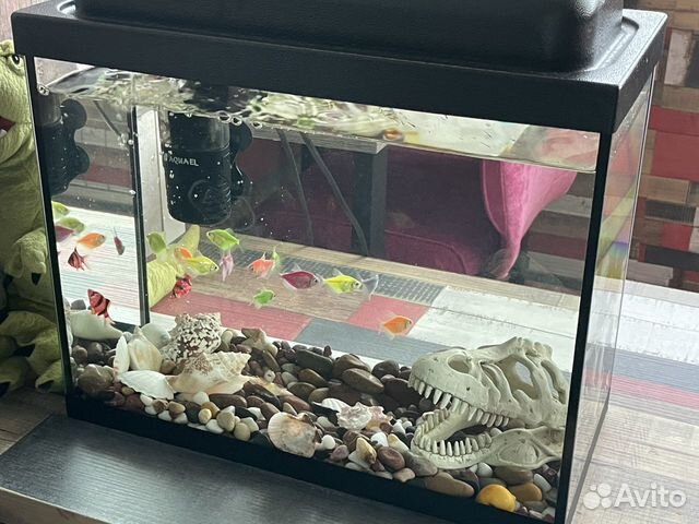 Аквариум 20 литров