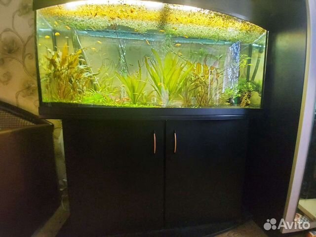 Аквариум с тумбой