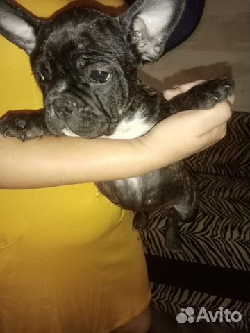 Французские булочки