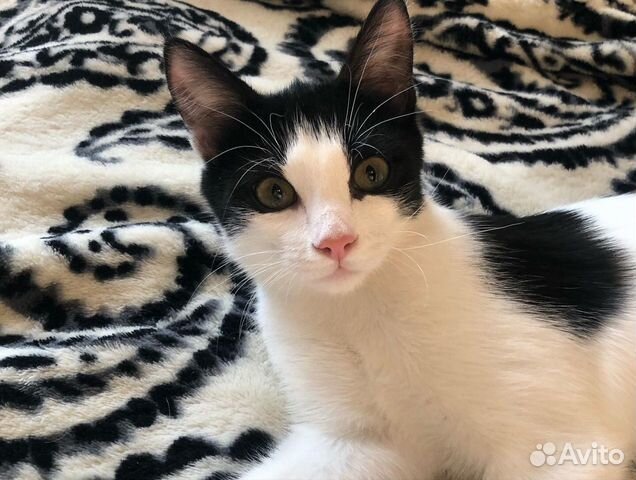 Эм ждёт свою семью