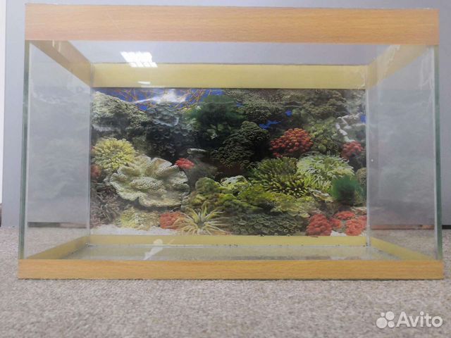 Аквариум