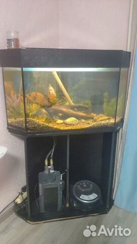 Аквариум с тумбой