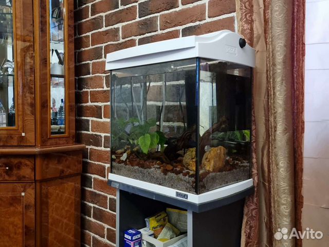 Аквариум Tetra