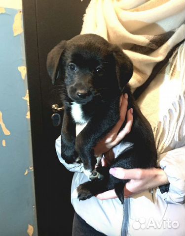 Спасите жизнь - сделайте доброе дело