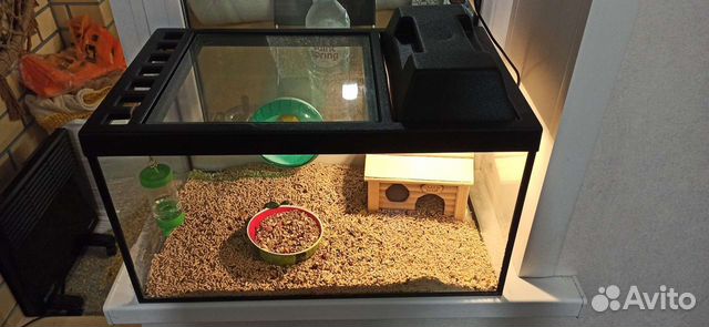 Сатиновые мыши вместе с террариумом, новогодний по