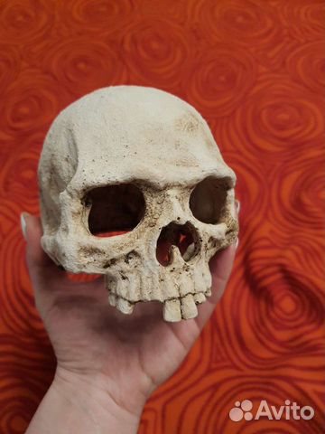 Декор-укрытие для террариума