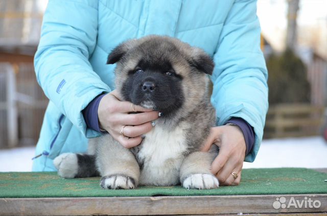 Брутальный мачо