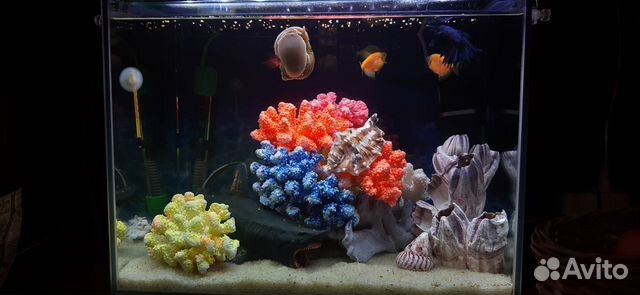 Аквариум