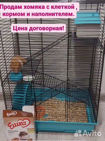 Хомяк с клеткой