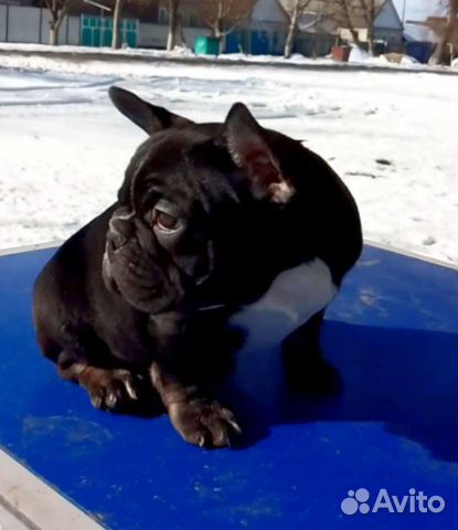 Чёрный подпал