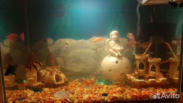 Аквариум