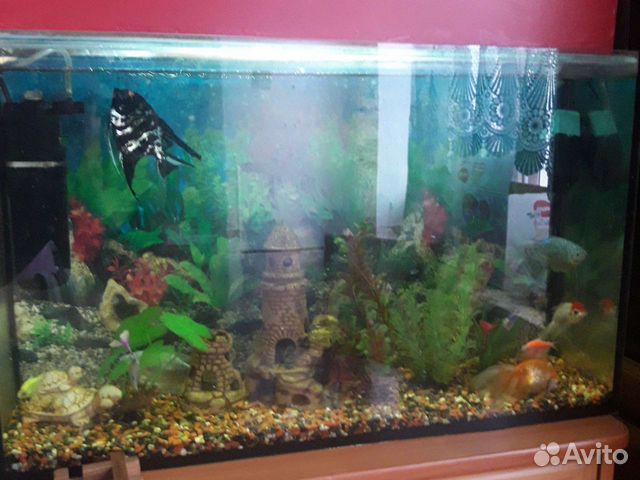 Аквариум иУкрашение для аквариума с рыбками. Всё н