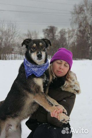 Бонька,спасите собаку