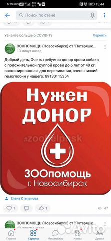 Донор крови собака