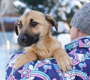 Сонечка мечтает о доме