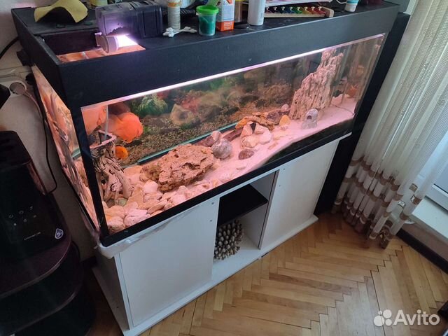 Аквариум 250 литров с тумбой