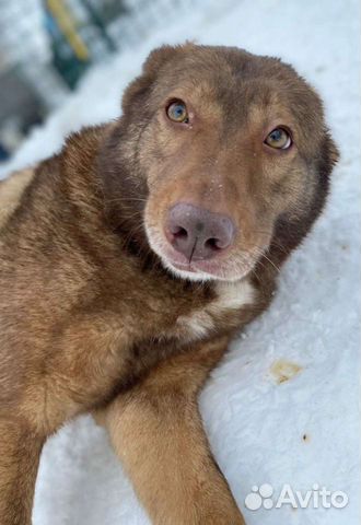 Каждый день это страдания