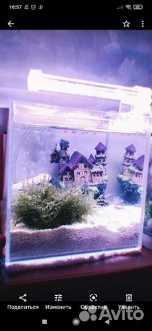 Аквариум и принадлежности